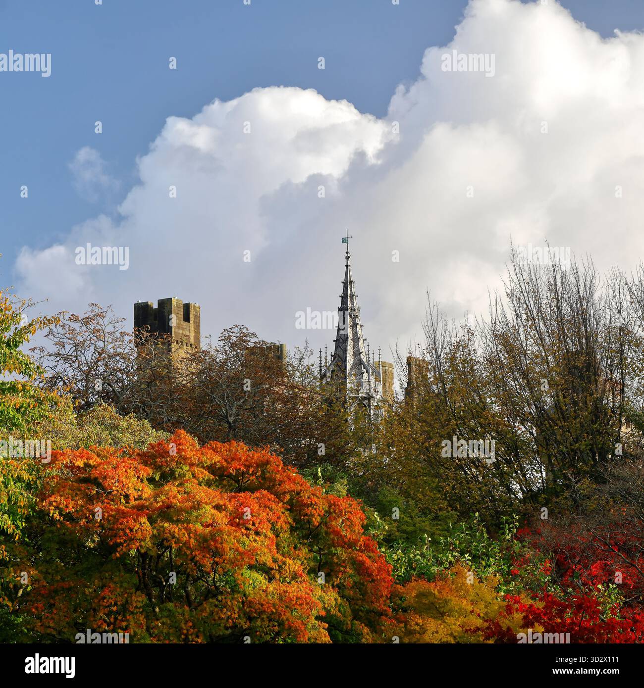 Cardiff Castle taken from Bute Park / Castle Grounds with autumn trees ...