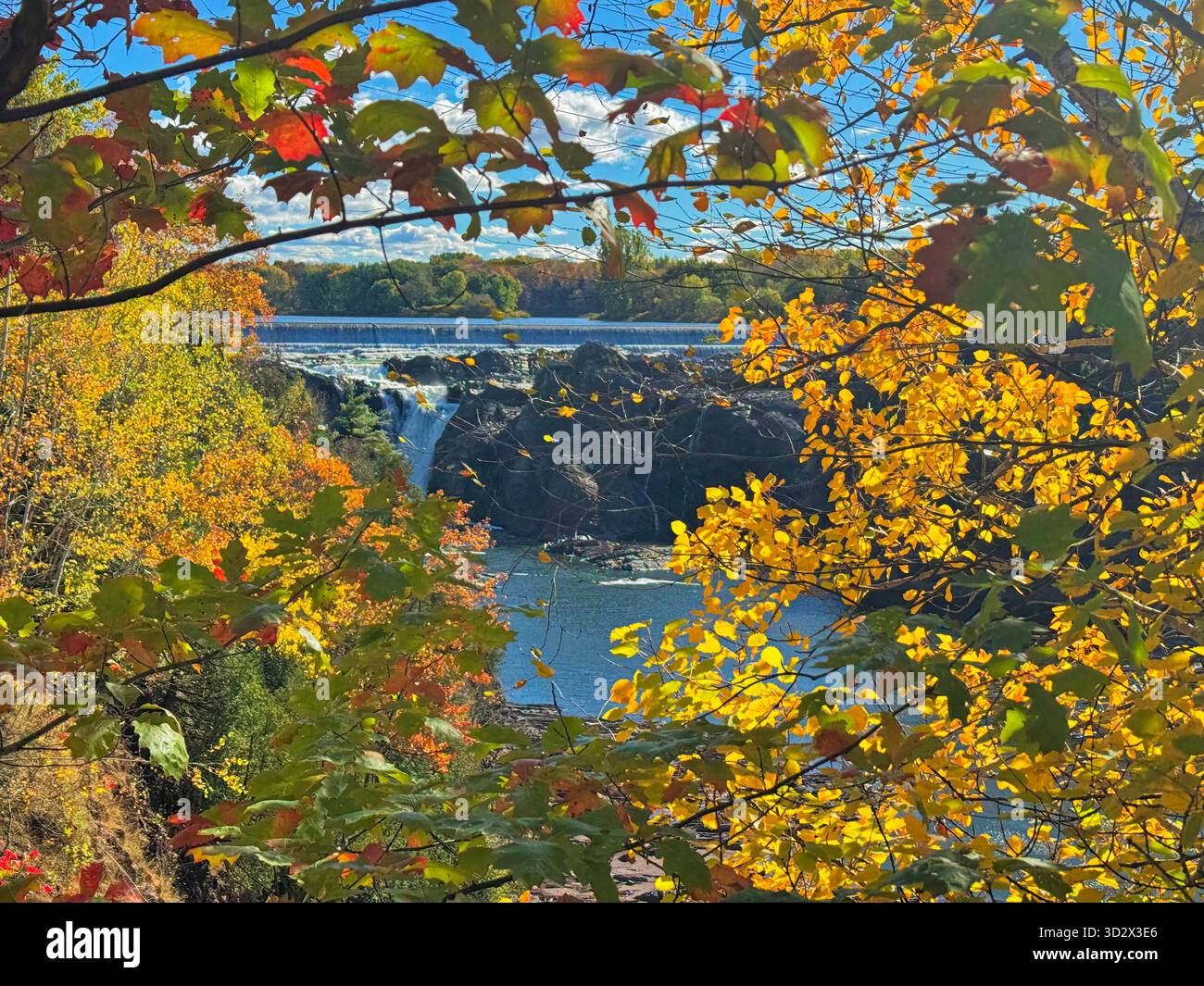 Les forêts du Québec en automne : un tableau de couleurs vivantes ...