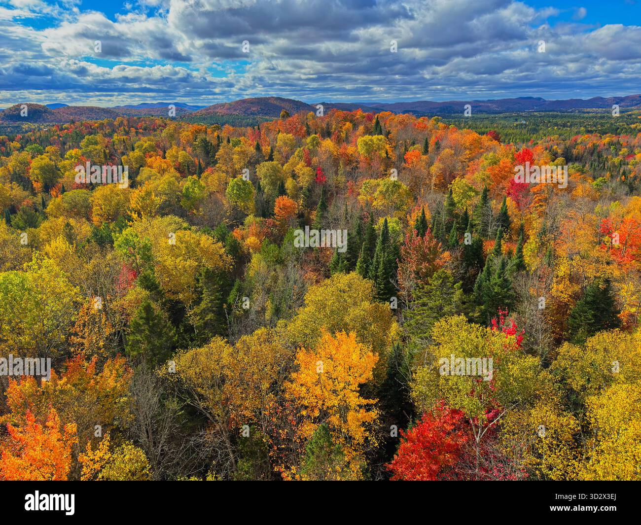 Les forêts du Québec en automne : un tableau de couleurs vivantes ...