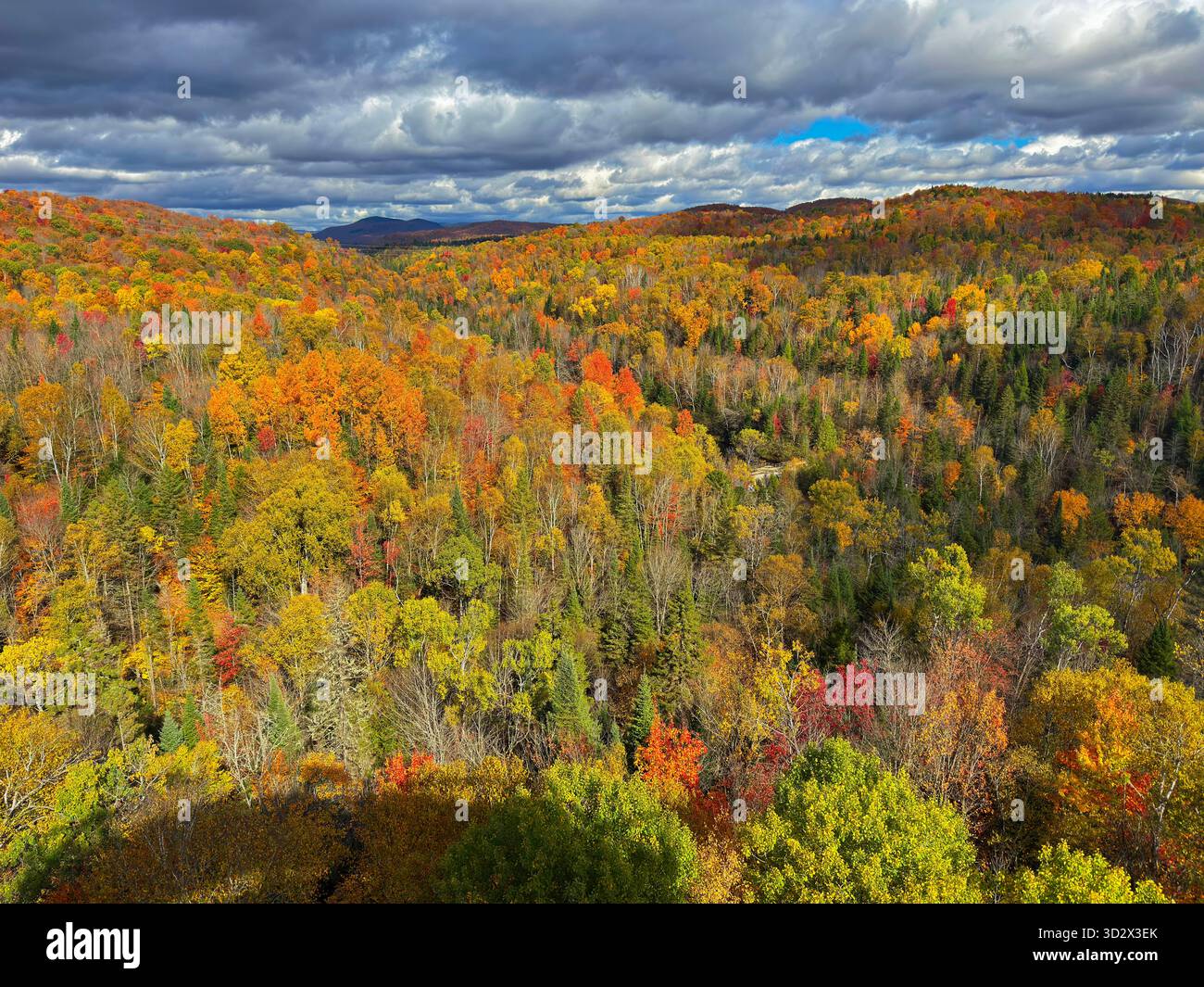 Les forêts du Québec en automne : un tableau de couleurs vivantes ...