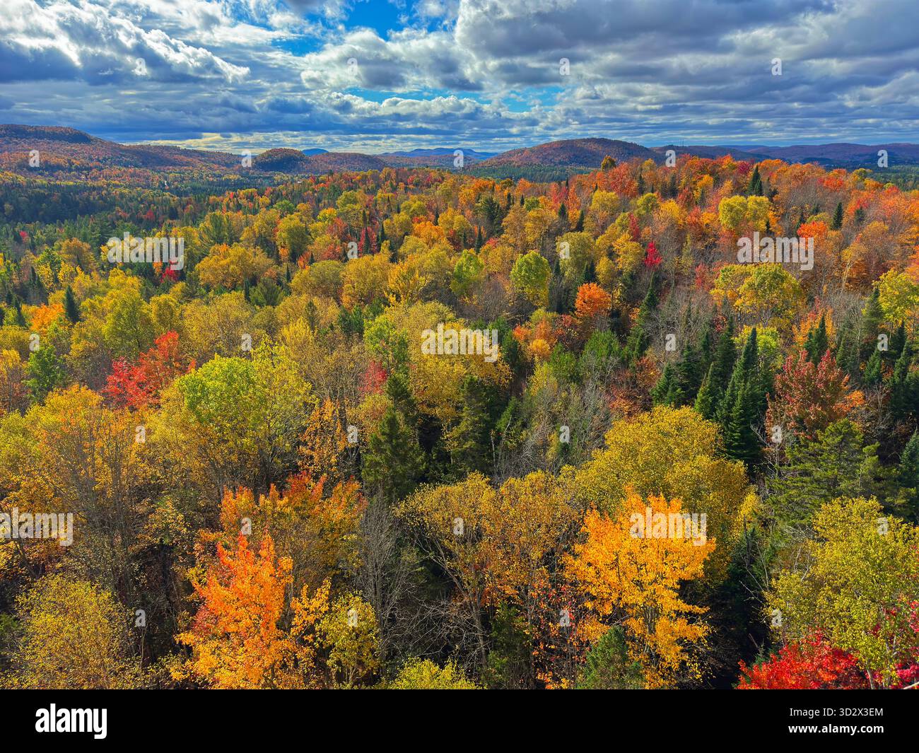 Les forêts du Québec en automne : un tableau de couleurs vivantes ...