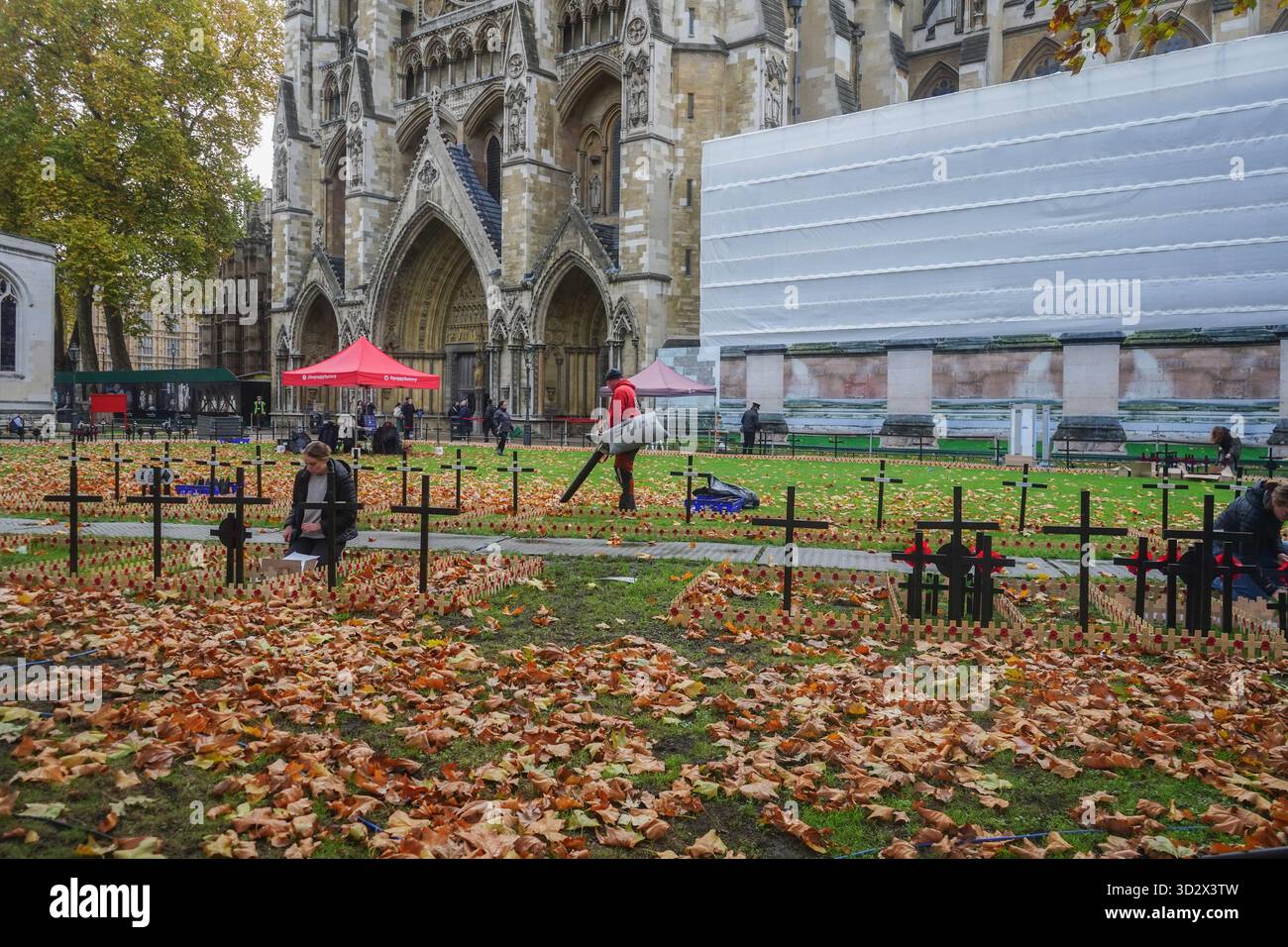 3 November 2025 Regimental plots at the field of remembrance in ...