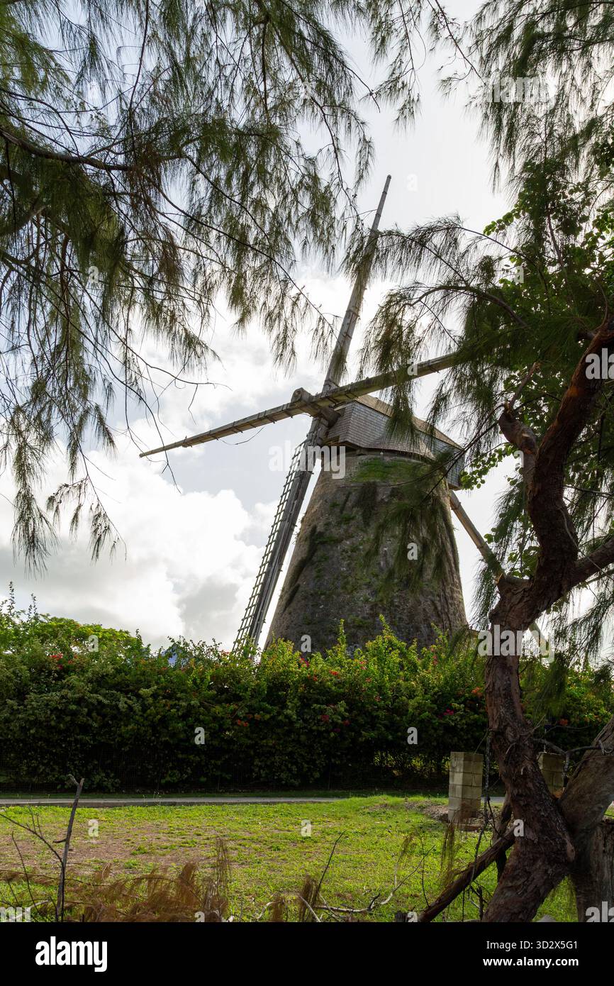 Morgan lewis windmill barbados hi-res stock photography and images - Alamy