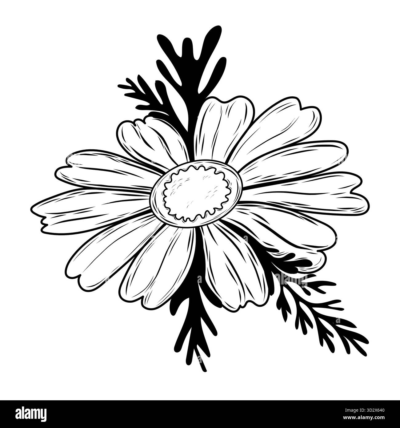 Herbal product vector Black and White Stock Photos & Images - Alamy