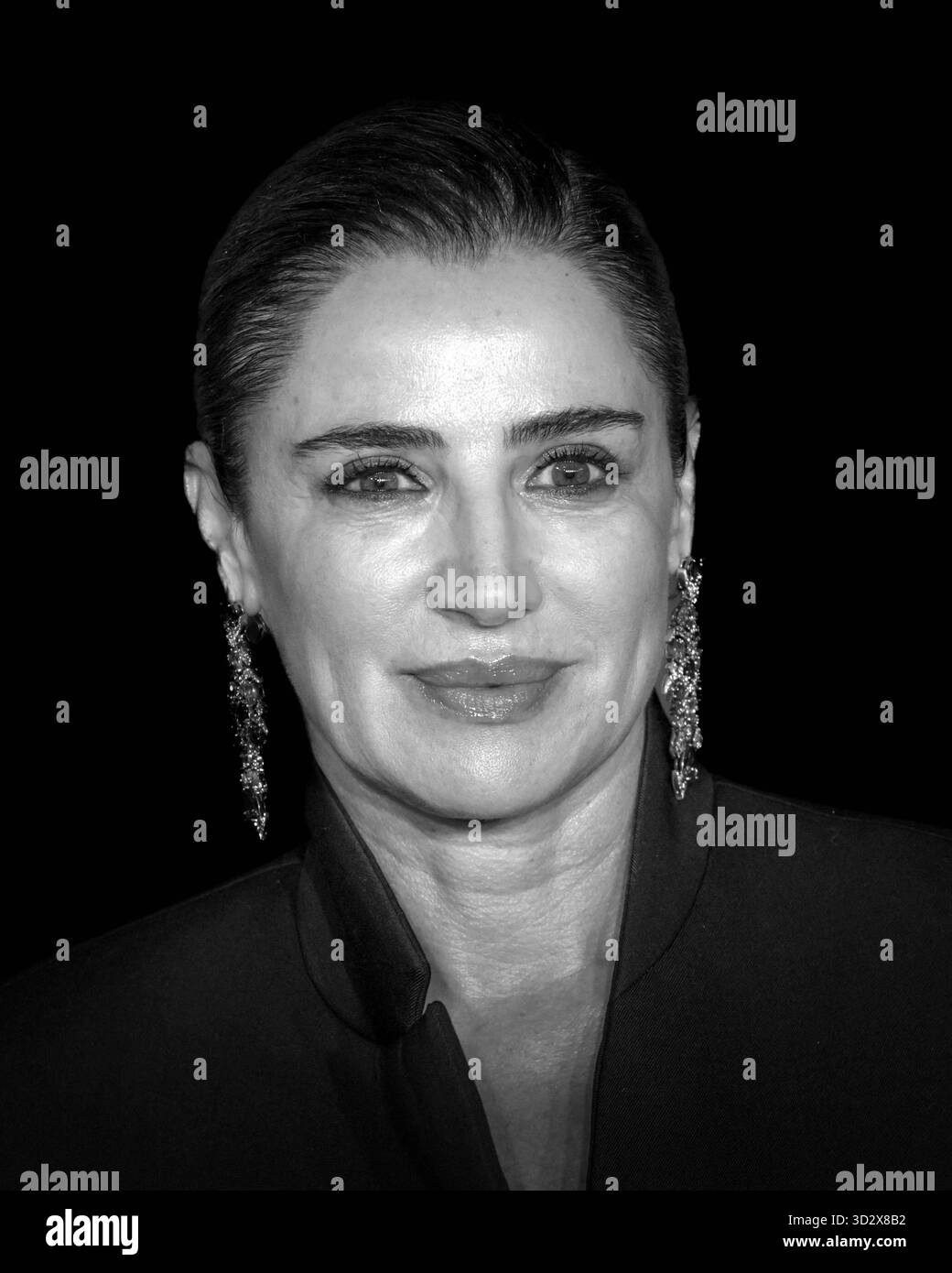 La Preside Red Carpet - The 20th Rome Film Festival. Rome, Italy ...