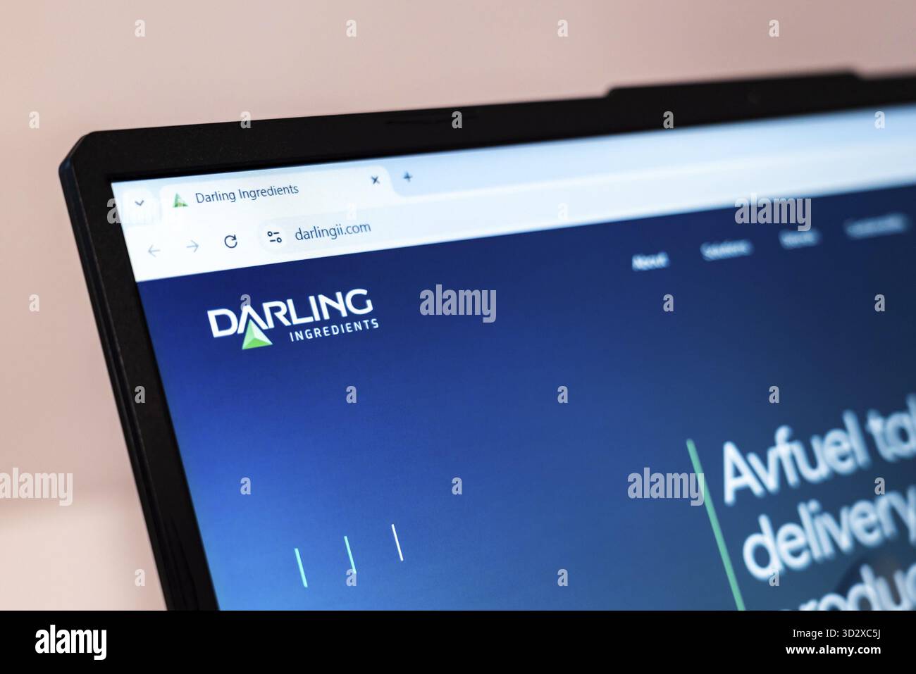 New York, USA - January 01, 2025: Darling Ingredients website displayed ...