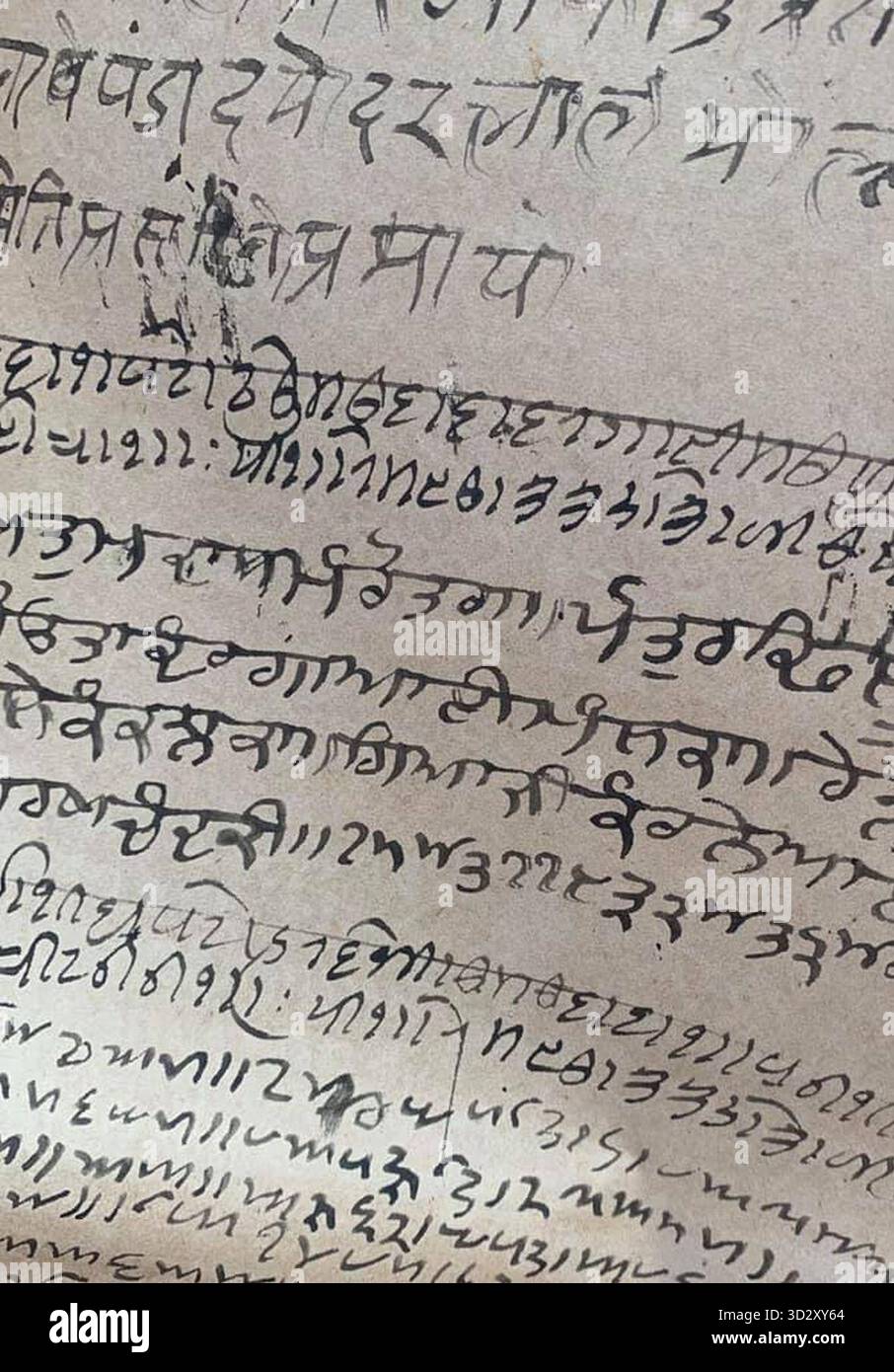 Over 100-year-old writing, inscribed in both Maithili and Gurmukhi ...