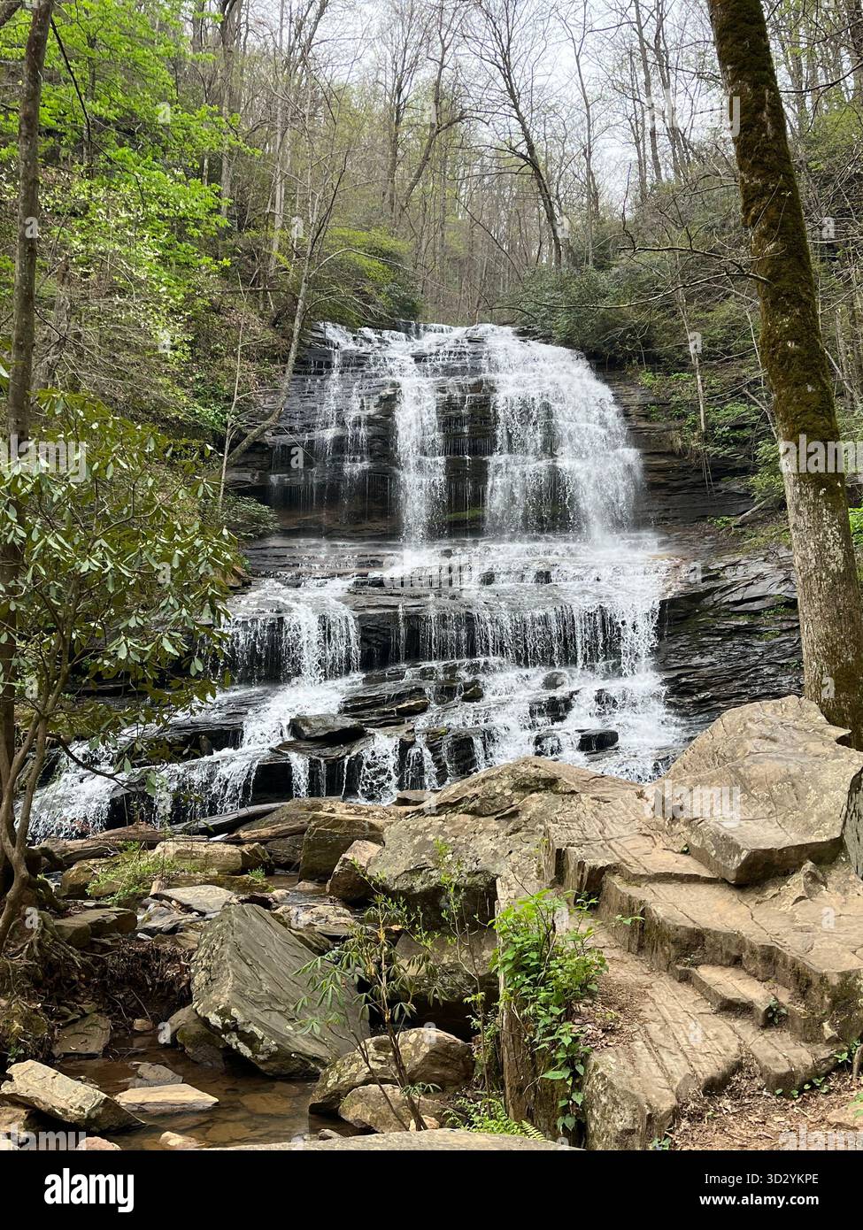 multi-tier waterfall cascading over rock ledges in a forest landscape ...