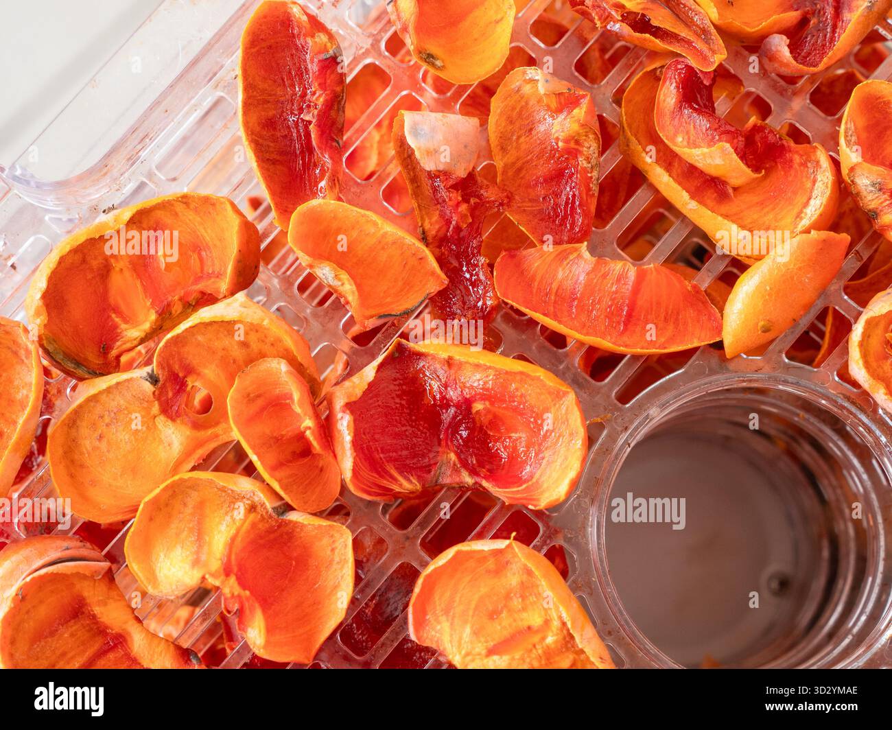 Food dehydrator drying persimmon hi-res stock photography and images ...