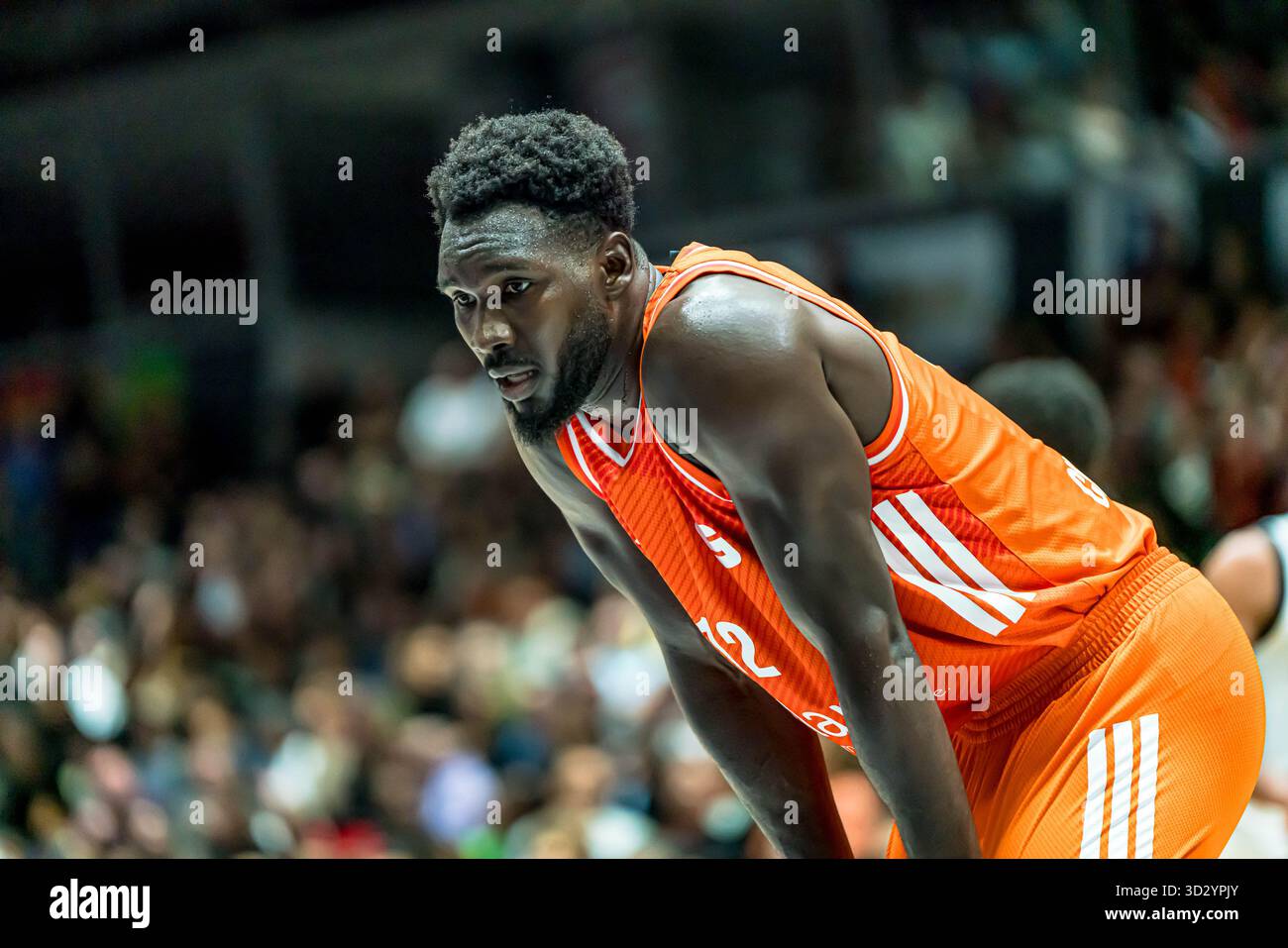 Chemnitz, Deutschland 01. November 2025: 1.BBL - 2025/2026 - Niners ...