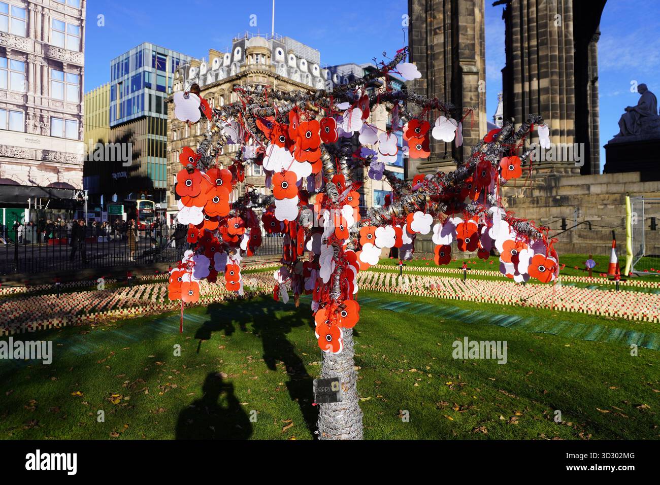 Poppy - Remembrance in Edinburgh, Scotland, 2025 Stock Photo - Alamy