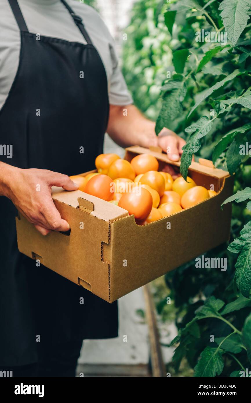 Farmstand hi-res stock photography and images - Alamy