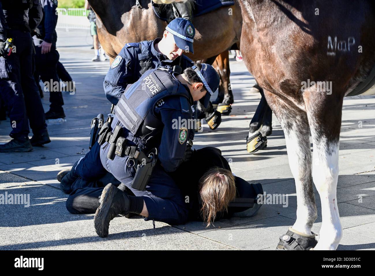 NSW Police arrest a protesters during an attempted blockade by the ...
