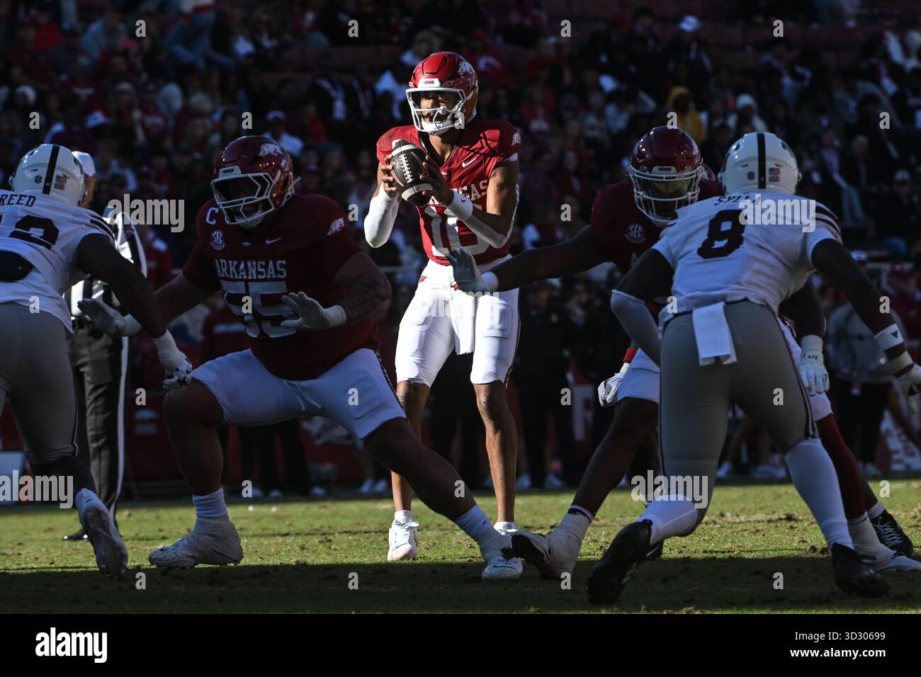 Arkansas quarterback Taylen Green (10) drops back to pass against ...