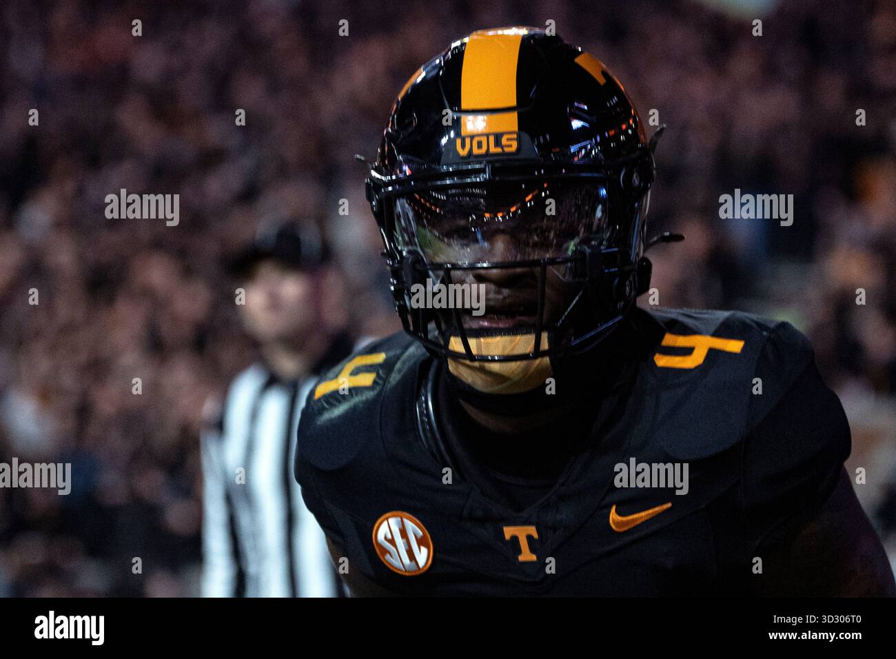 Tennessee wide receiver Mike Matthews (4) reacts after scoring a ...