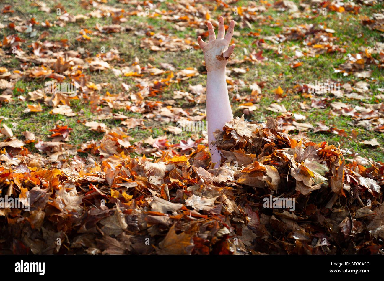 Hand reaching pile leaves hi-res stock photography and images - Alamy