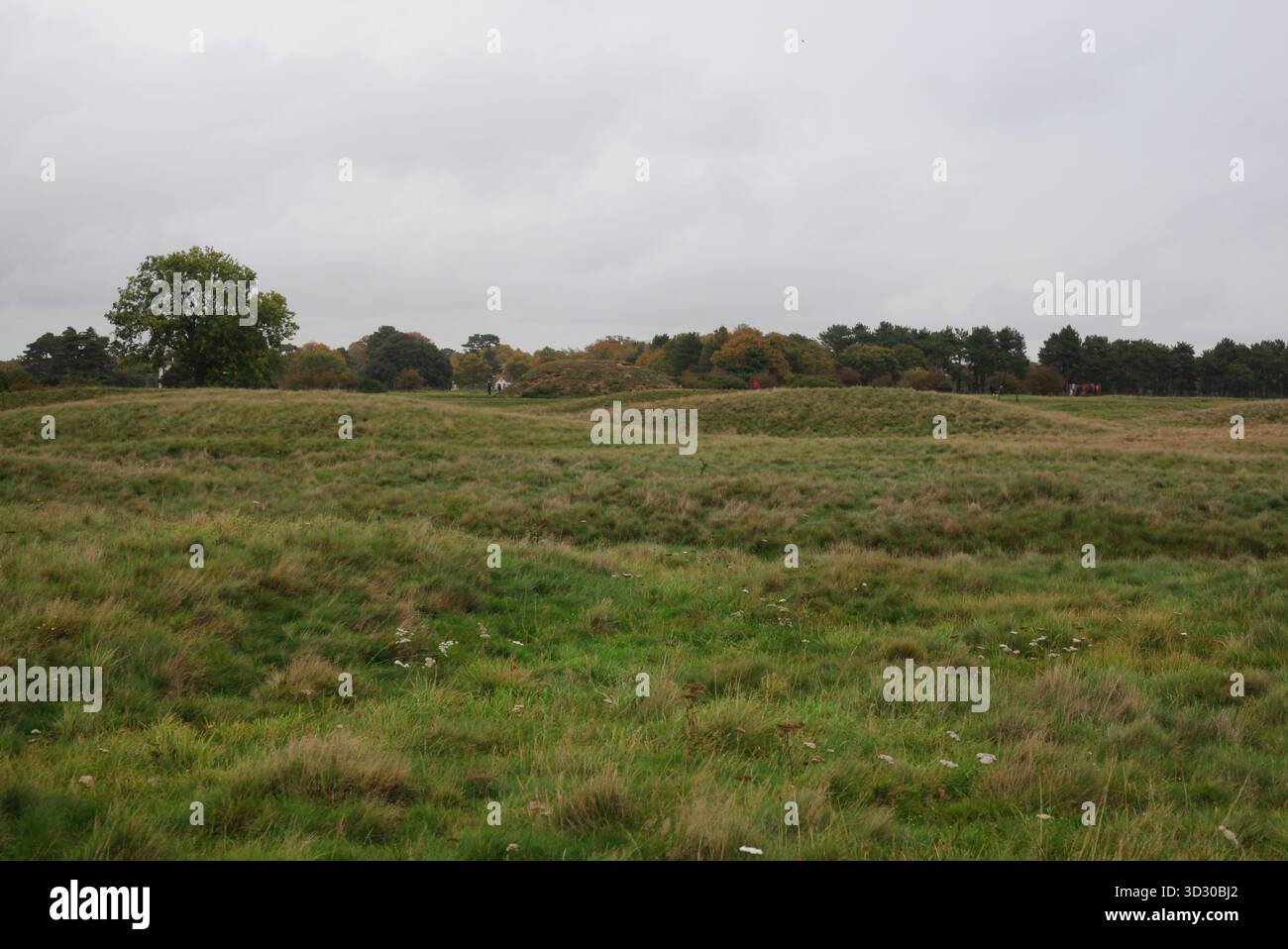Sutton hoo anglo saxon royal burial mounds site hi-res stock ...