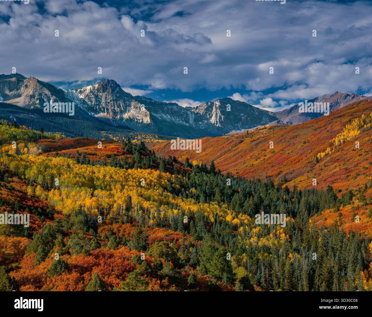 Mears Peak, Sneffels Range, Aspen, Populus Tremula, Oak, Quercus ...