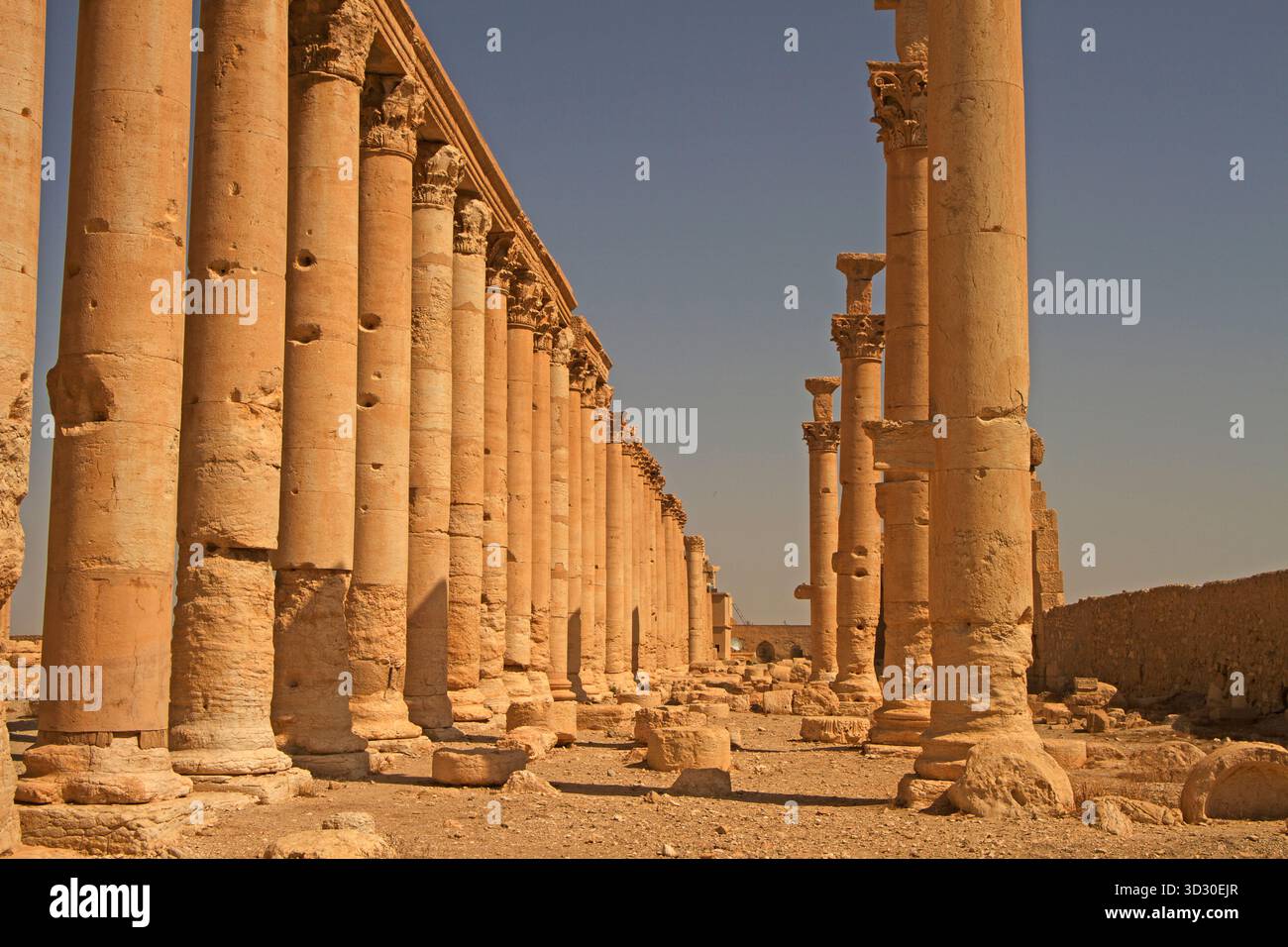 Rows of Corinthian columns forming the Great Colonnade in the ancient ...
