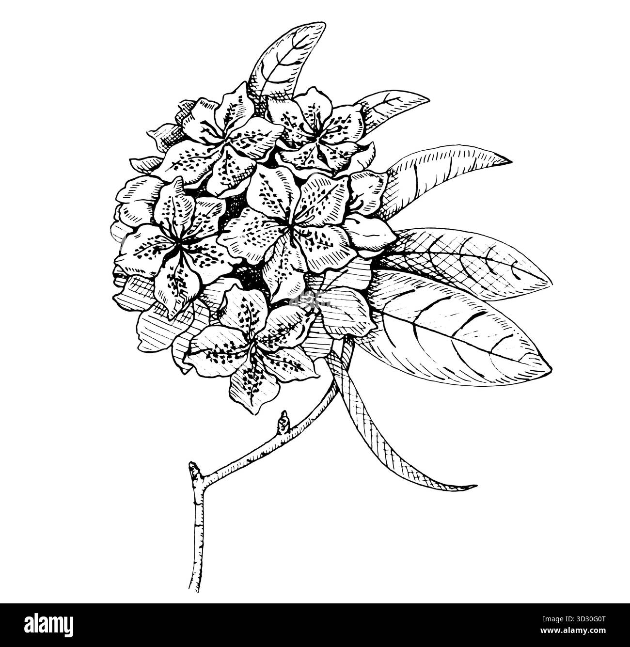 Monochrome ink art Stock Vector Images - Alamy