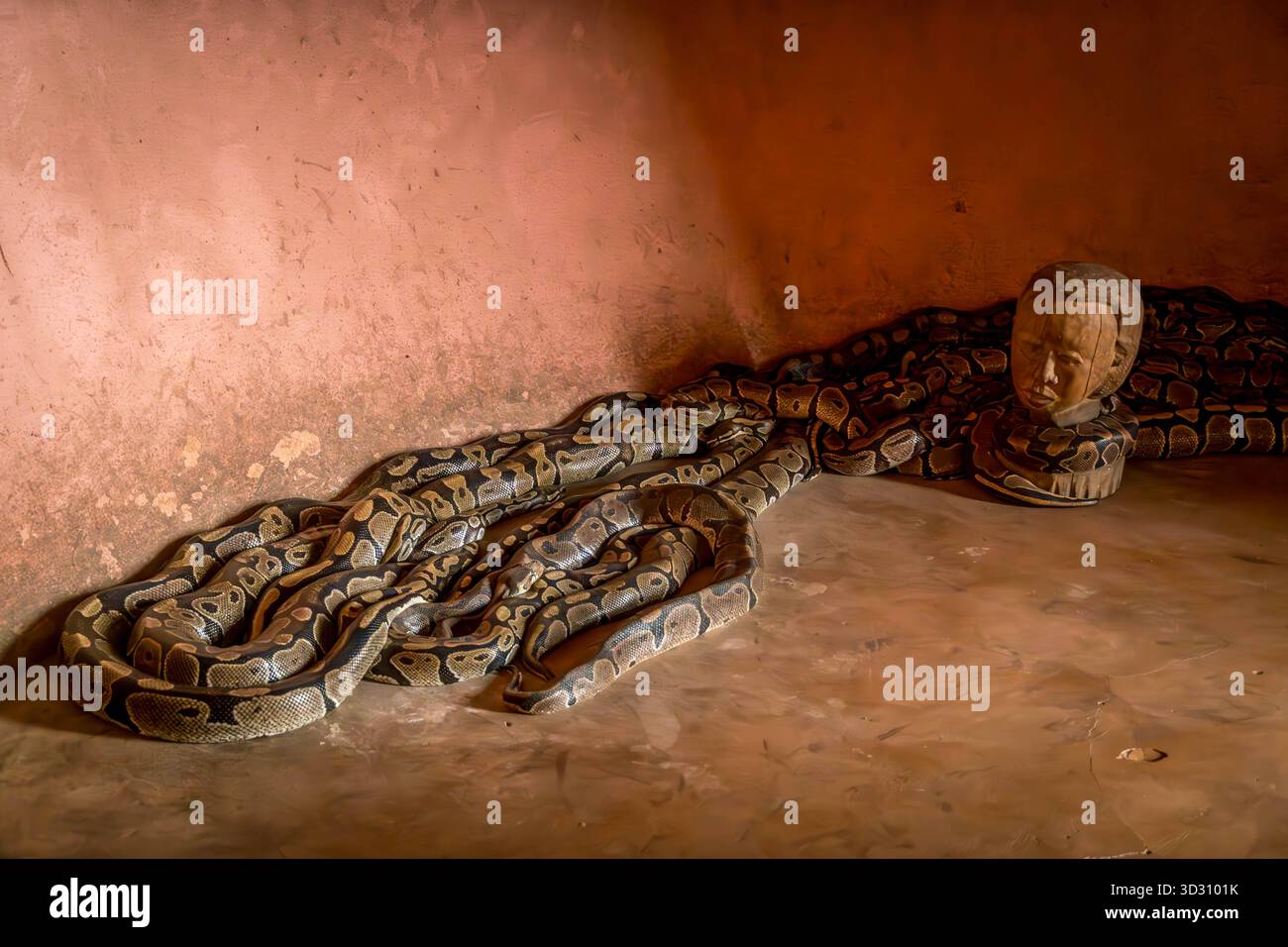 Sacred python temple hi-res stock photography and images - Alamy