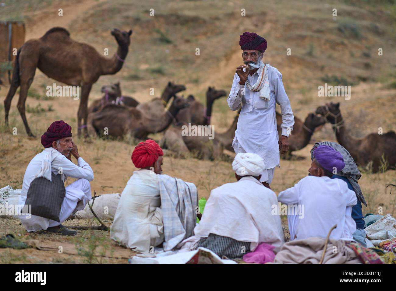 Camel herders rest near their animals at the annual cattle fair in ...