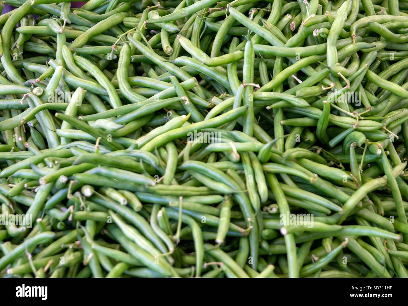 Fresh green beans on display at a road side stand Stock Photo - Alamy