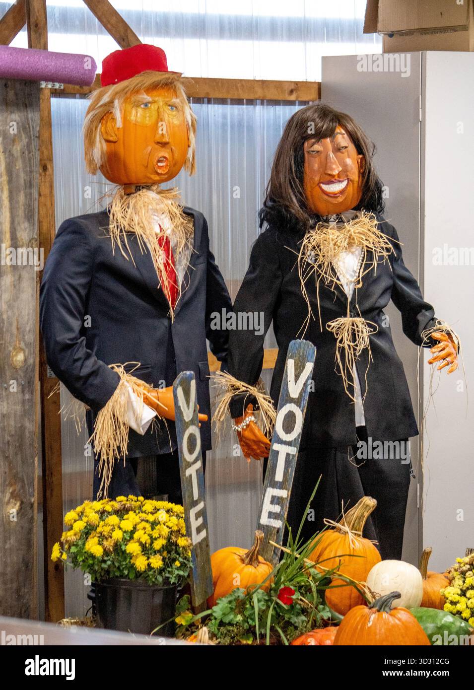 Political pumpkin people remind people to vote Stock Photo - Alamy