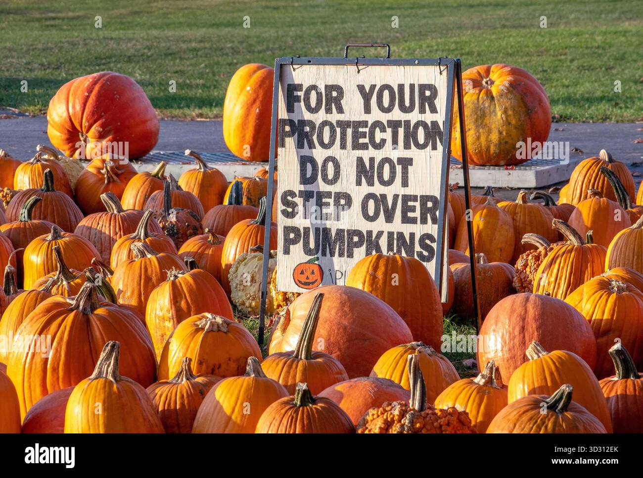 A warning sign at a pumpkin patch cautions people to be careful when ...