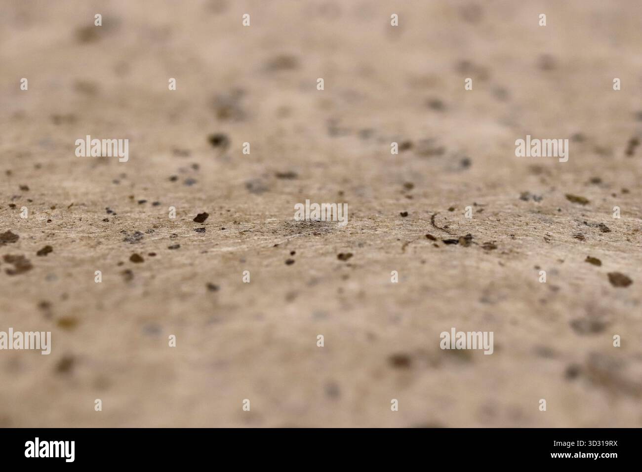 Close-up of a textured concrete paper texture with small specks Stock ...
