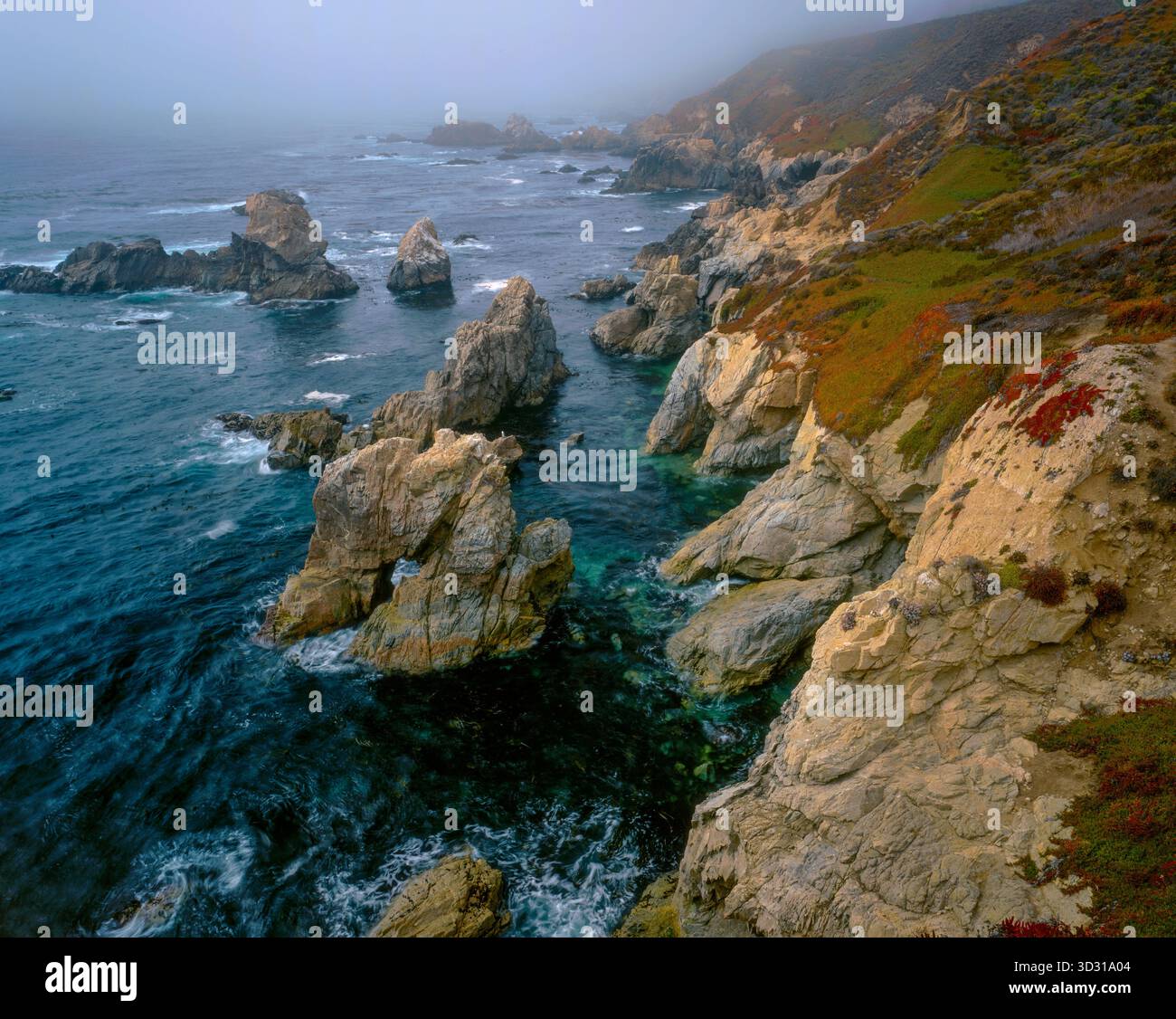 Coastal Fog, Surf, Garrapata State Park, Big Sur, Monterey County ...