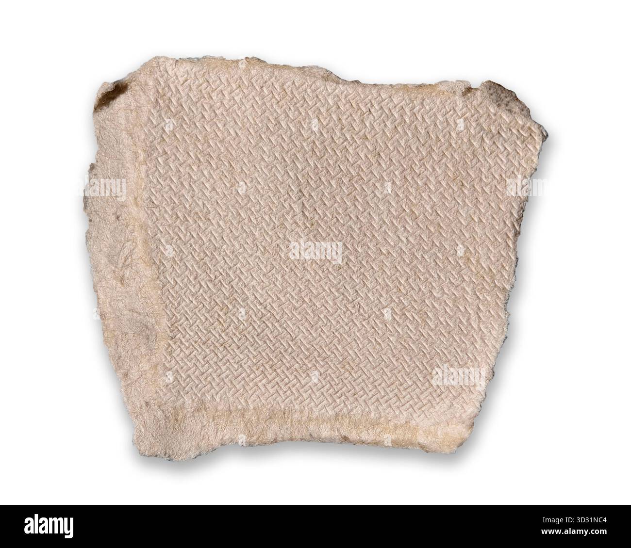 Soft pale brown Cut Out Stock Images & Pictures - Alamy