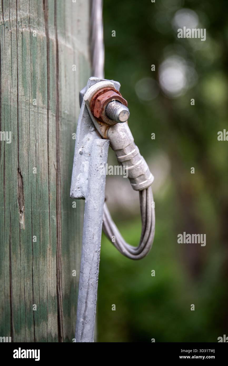 Detailed view of a steel cable secured to a wooden utility pole with a ...