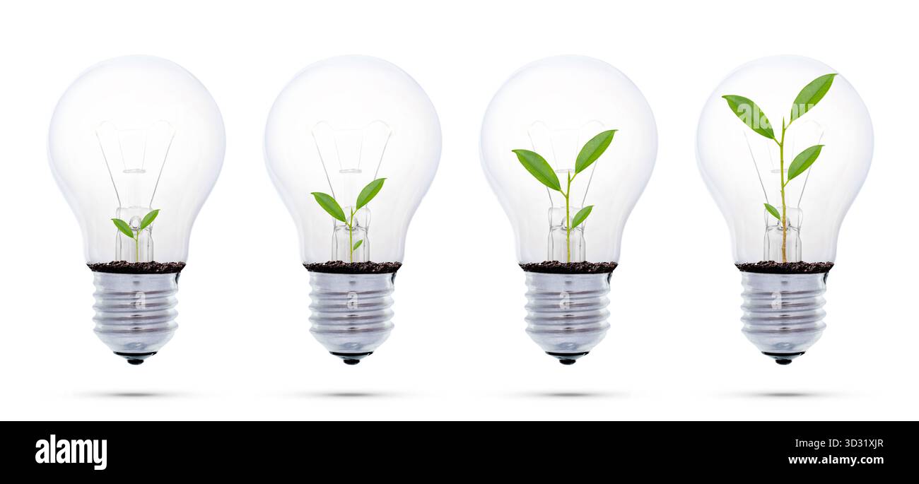 Creative concept showing four light bulbs with growing plants ...