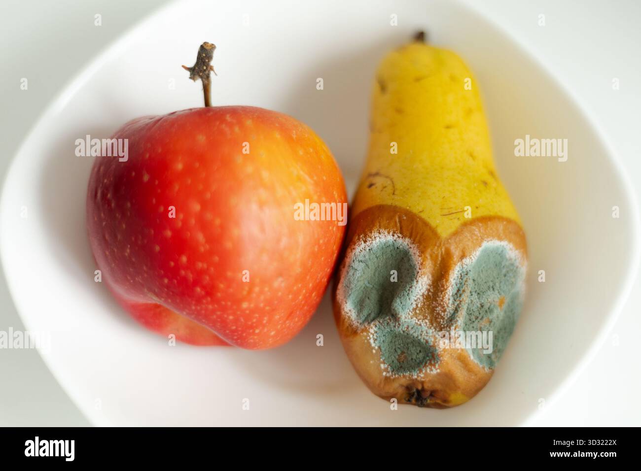 Moldy pear with mold and fresh apple on plate. High quality photo Stock ...