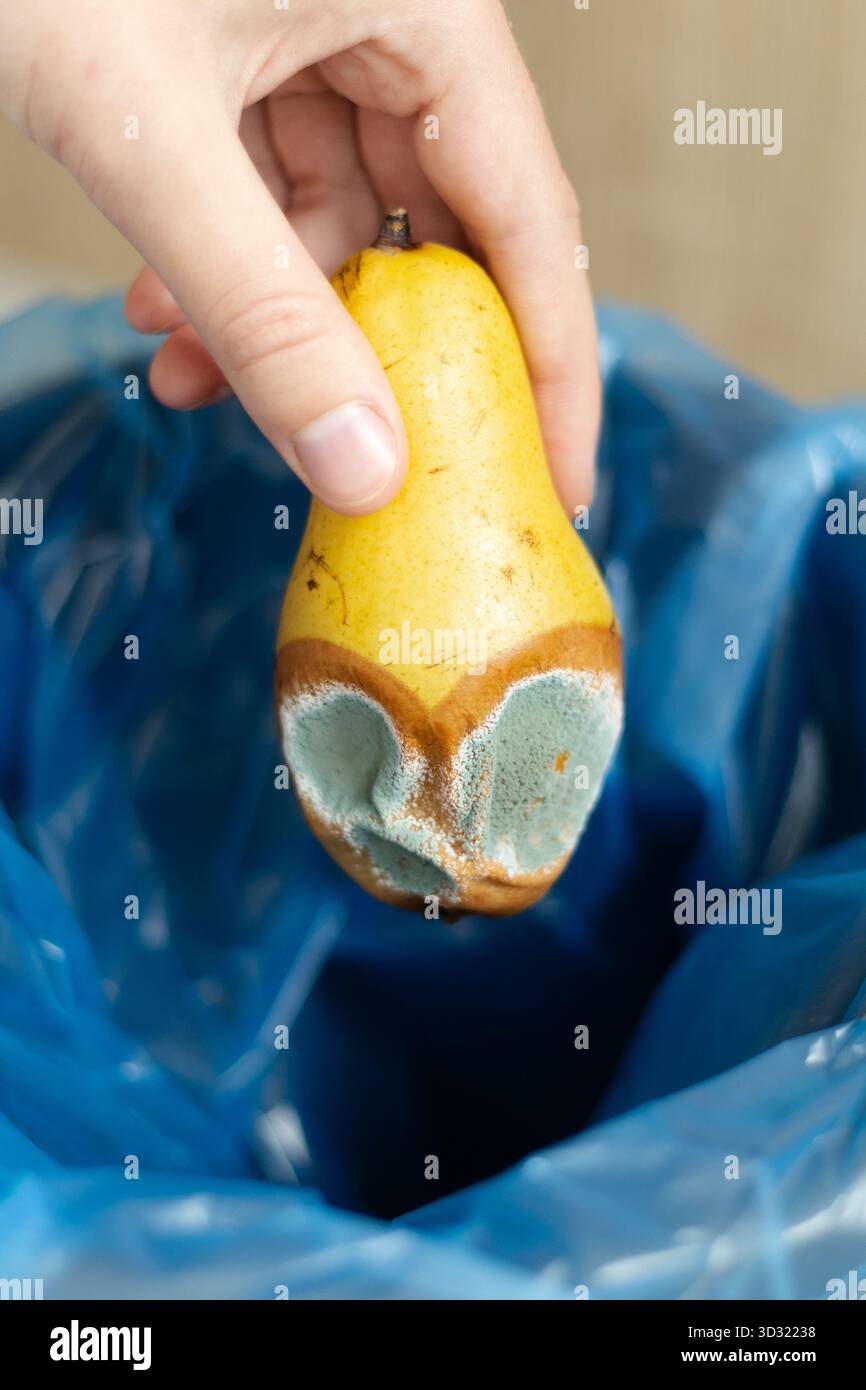 Throwing spoiled pear mold hi-res stock photography and images - Alamy
