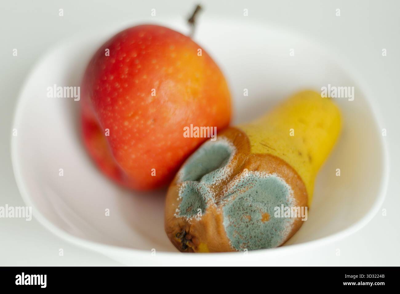 Moldy pear with mold and fresh apple on plate. High quality photo Stock ...
