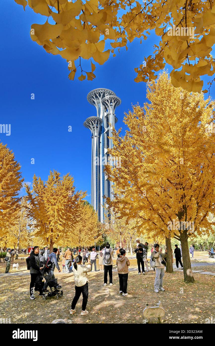Autumn scenery at Beijing Olympic Park in Beijing, China, 1 November ...