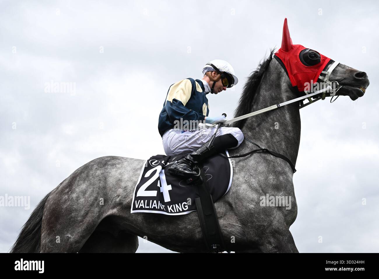 Jockey Jye McNeil rides Valiant King out to the track ahead of the ...