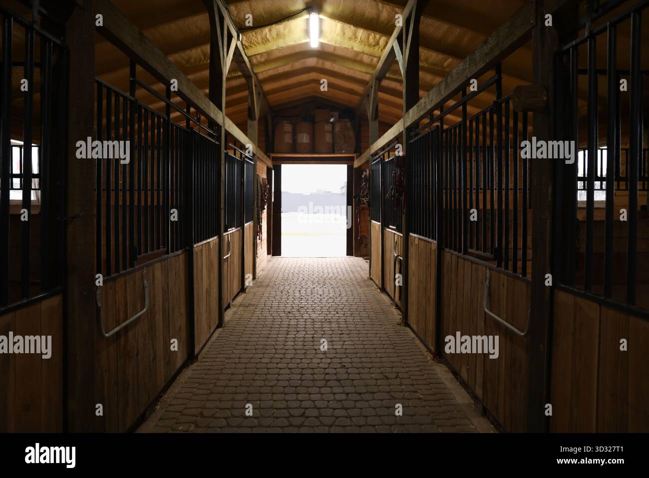 Empty stall in horse hi-res stock photography and images - Alamy