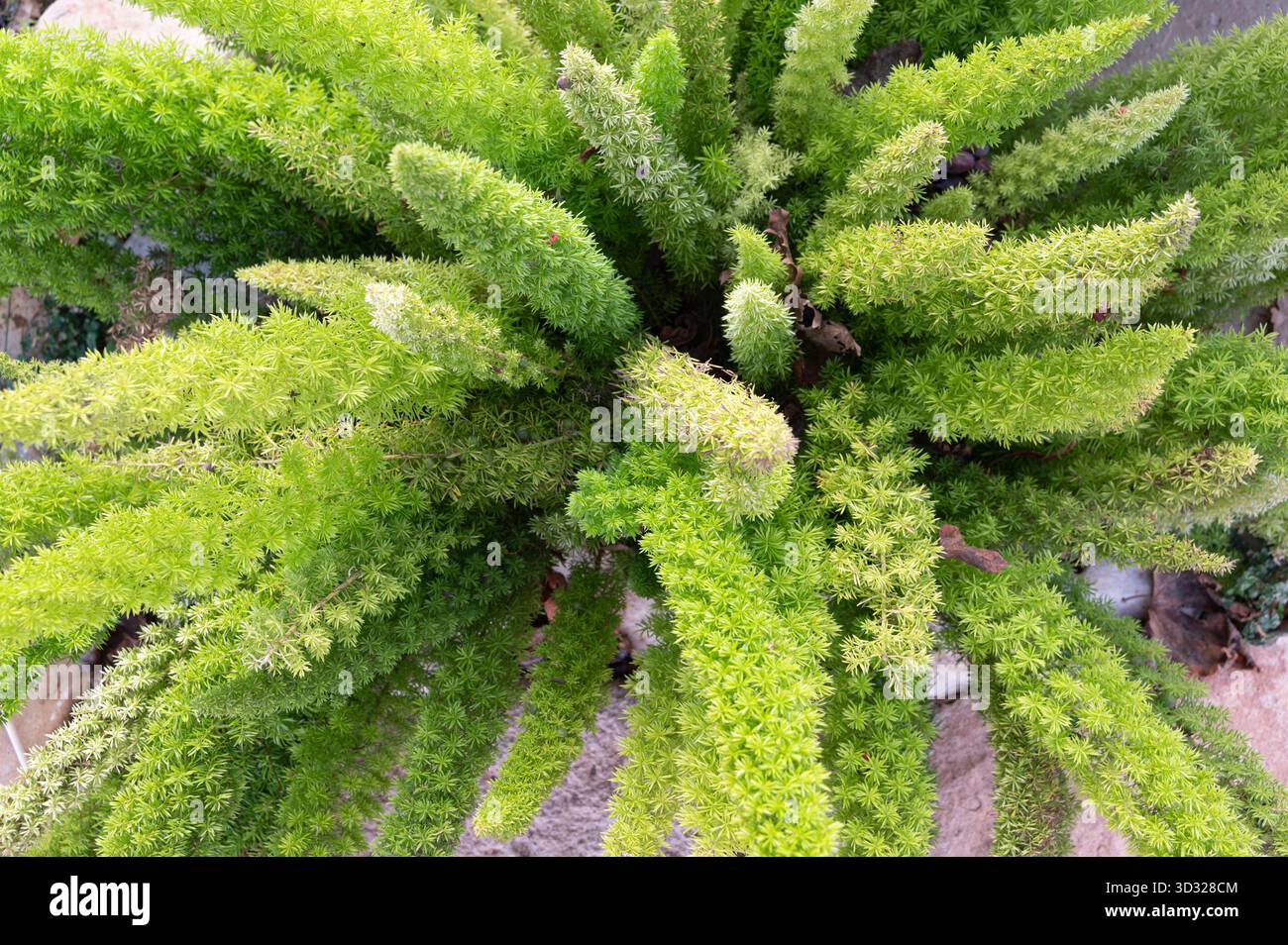 Top down perspective cluster light hi-res stock photography and images ...