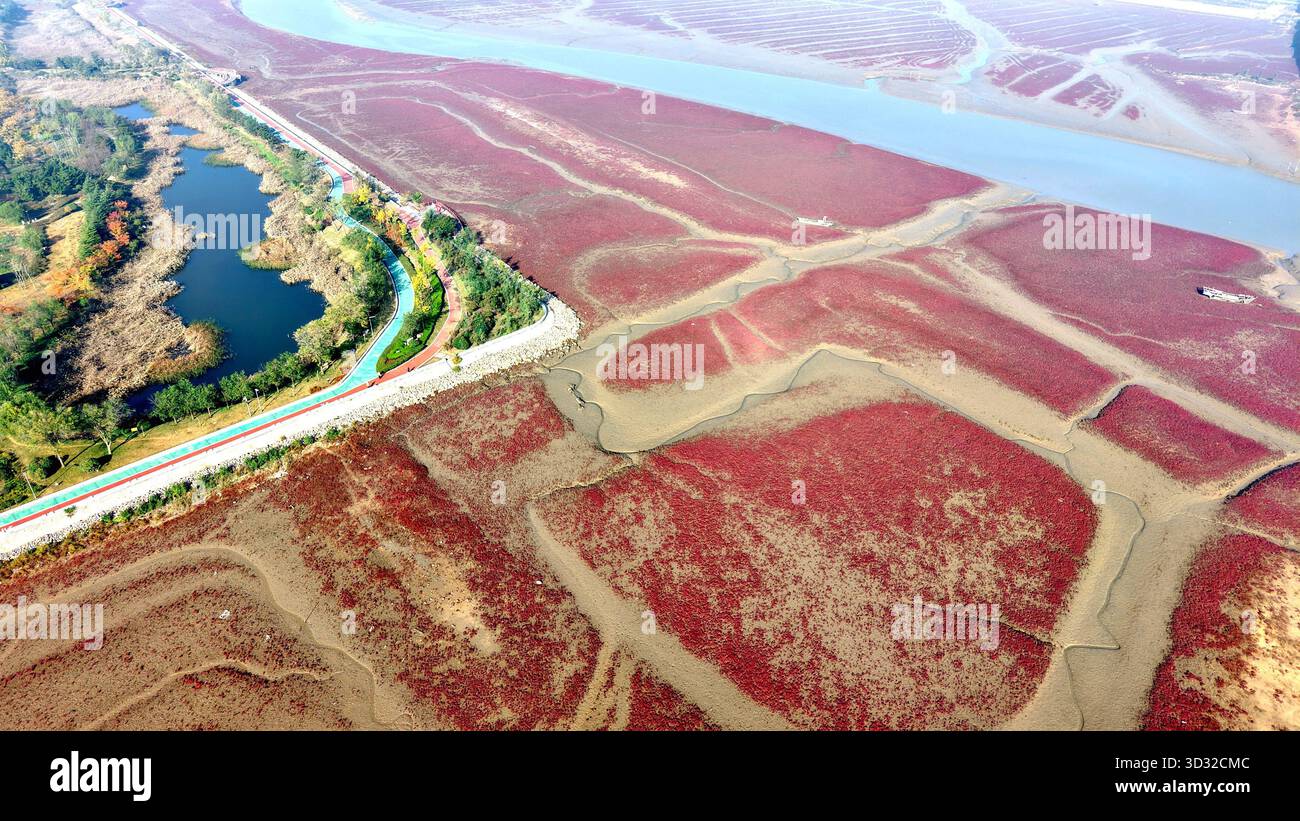 Aerial photo shows the red beach in Qingdao City, east China's Shandong ...