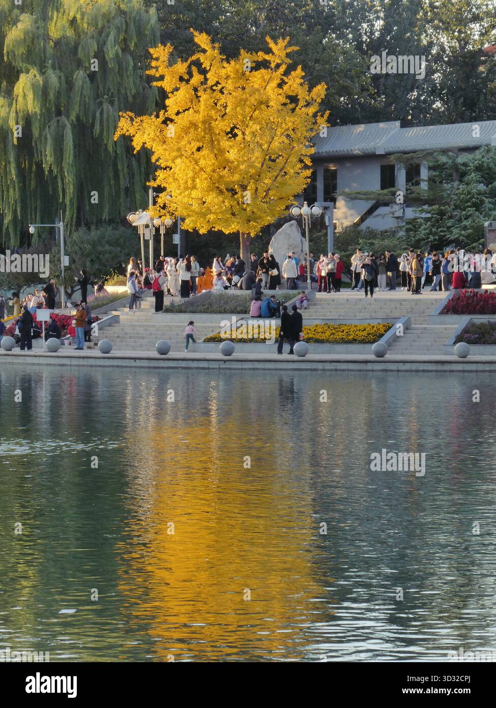 Autumn scenery at Longtan Park in Beijing, China, 1 November, 2025 ...