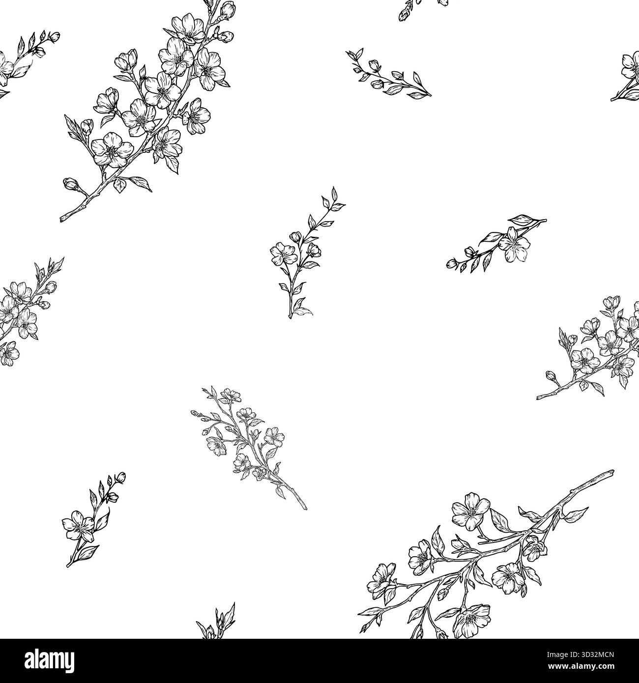 Floral background spring theme Black and White Stock Photos & Images ...