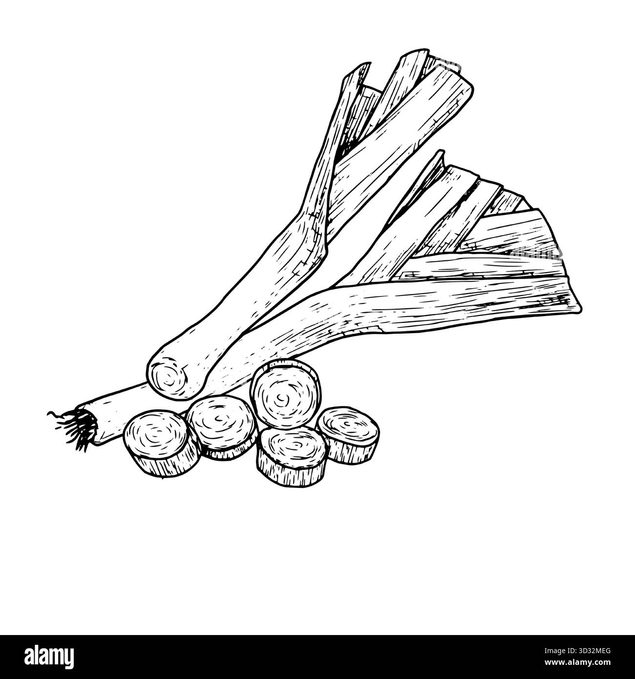 Whole cut leeks isolated Stock Vector Images - Alamy