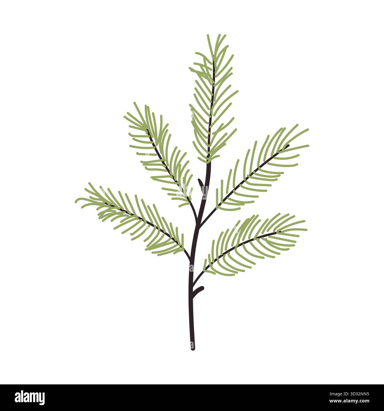 Featuring slender green Cut Out Stock Images & Pictures - Alamy