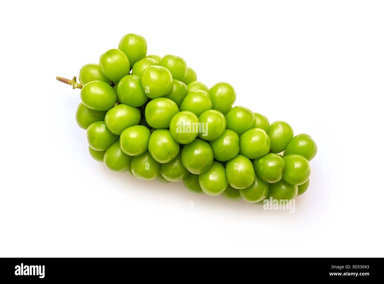 Branch of large yellow-green grape Shine Muscat isolated on white, top ...