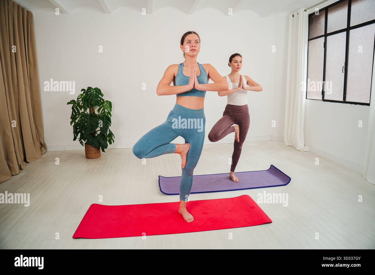 In a tranquil indoor atmosphere, two dedicated women engage in yoga ...