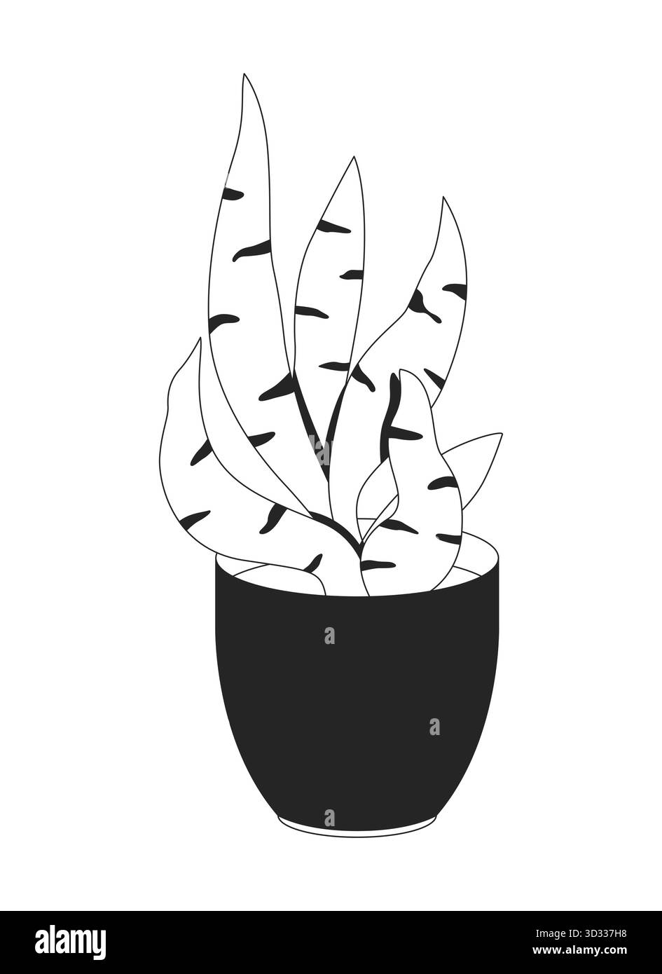 Sansevieria snake plant in sleek black pot 2D line object Stock Vector ...