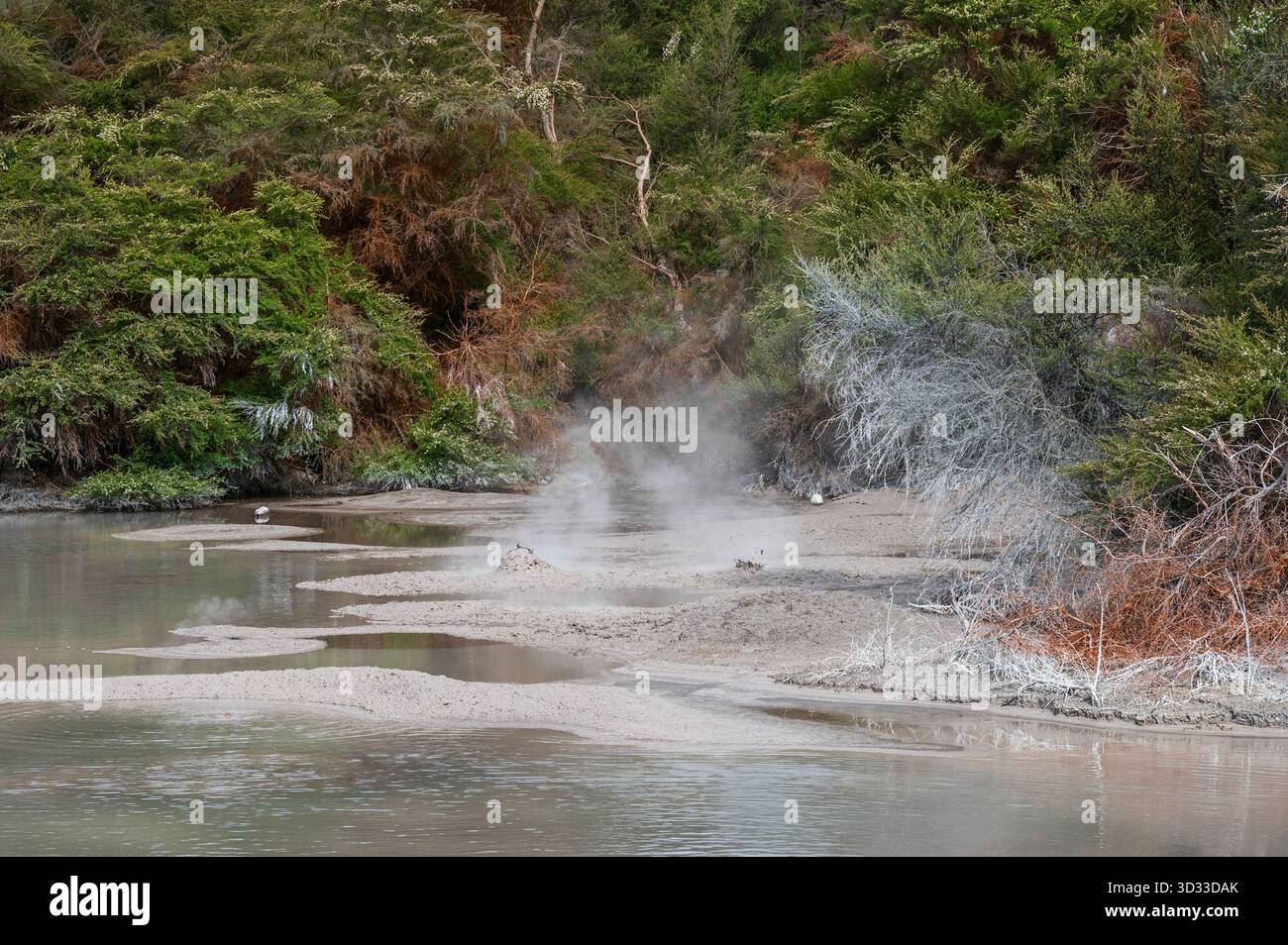 Waiotapu loop road hi-res stock photography and images - Alamy